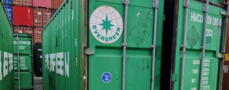 20ft Used Evergreen Containers for Animal Rescue Centres